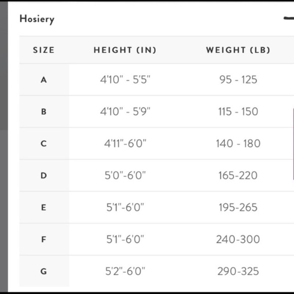 SPANX | Accessories | Nib Spanx Original Shaping Tights Black Size E ...